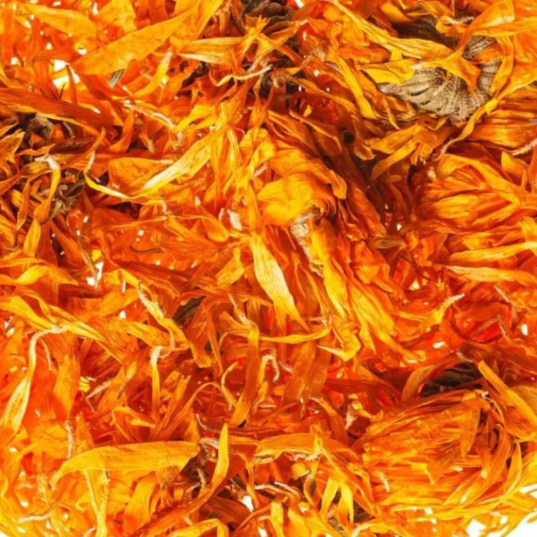 Buy Calendula (Marigold) | Topical Skin Healer, Lymphatic & Wound Aid ...
