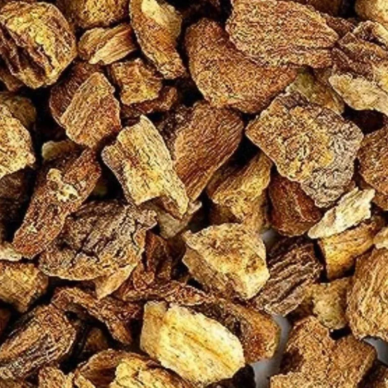 Gentian Root | Bitter Tonic for Digestion, Gut Wellness & Liver Support ...